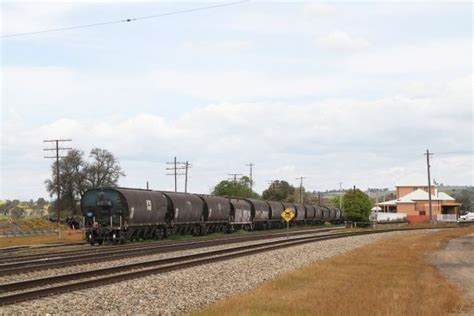Pacific National Nsw Grain Trains Wongms Rail Gallery