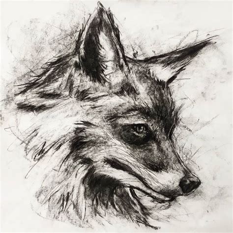 Portrait Renard Dessin Par Jean Baptiste De Poret Artmajeur