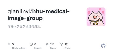Github Qianlinyihhu Medical Image Group 河海大学医学图像处理组