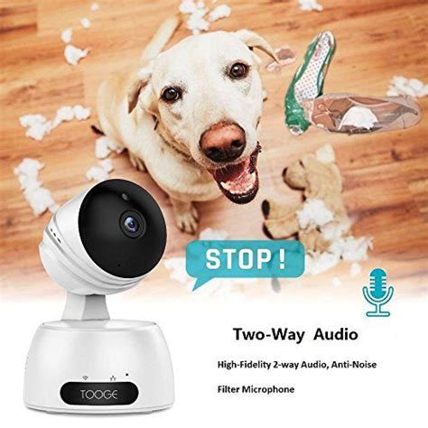 How To Set Up Tooge Pet Camera Tolhea