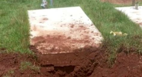 Marido Chega Em Casa E Encontra Mulher Morta Nua E Cortes No