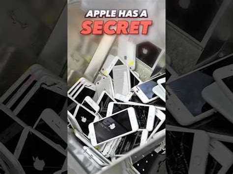 Apple Has A SECRET WIREDGORILLA