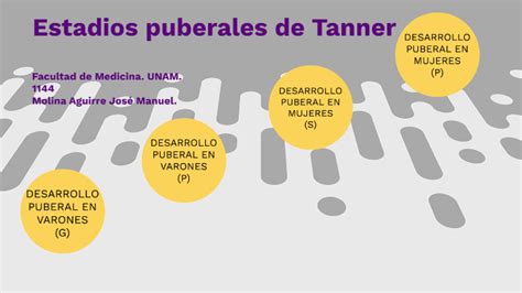 Estadios Puberales De Tanner By José Manuel Molina Aguirre On Prezi