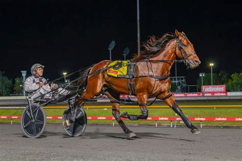 Platinum Lies Racing Queensland