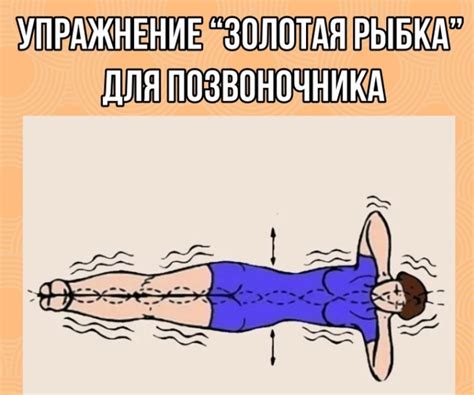 Упражнение “Золотая рыбка” для позвоночника На заметку Одно из лучших