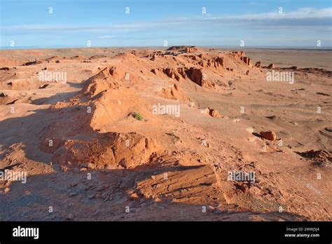 View On Bayanzag Flaming Cliffs On The Mongolian Gobi Desert Containing