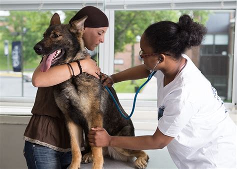 Veterinary Technology Mercy College