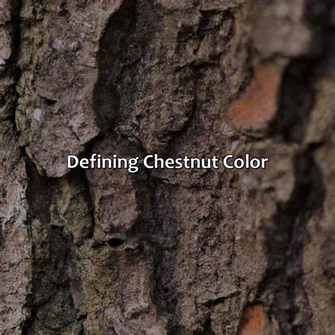 What Color Is Chestnut