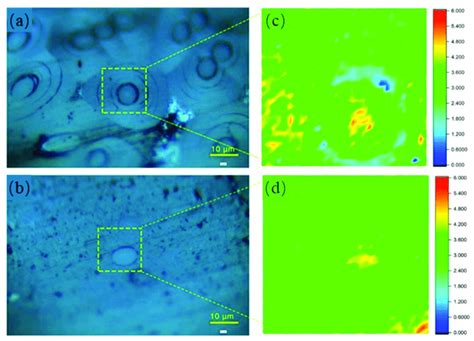 Raman Spectra Analysis After Thermal Shock Test Of Ac Cc And Bd