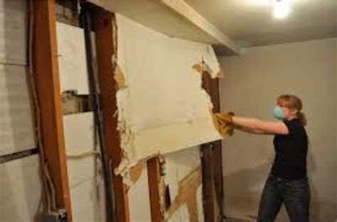 Determine When To Remove Drywall During Mitigation