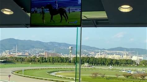 第83回菊花賞gⅠ 2022年10月23日阪神競馬場 現地映像屋内 Youtube