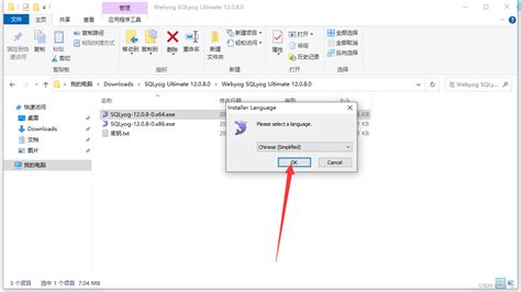 Sqlyog Ultimate软件安装教程 Csdn博客