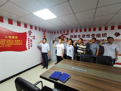 高铁配套工程项目临时党支部开展戴党徽、亮身份、做表率活动 江苏宿迁交通工程建设有限公司