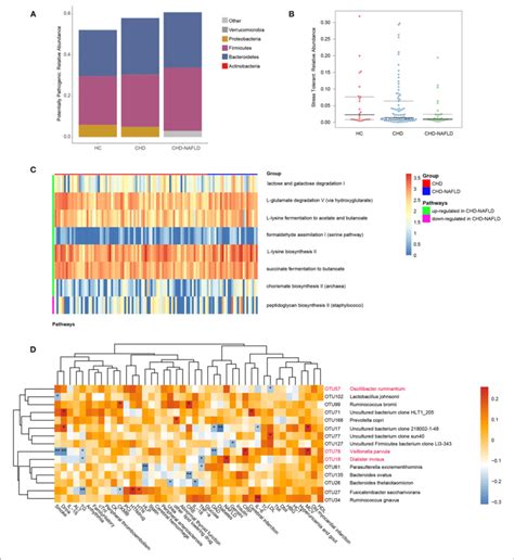 Function Prediction Of Gut Microbiome Among Three Groups At Otu