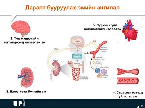 Эрүүл Зүрх Эрүүл Улаанбаатар