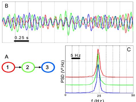 Simulated Signals A Considered Scenario For Connectivity Among