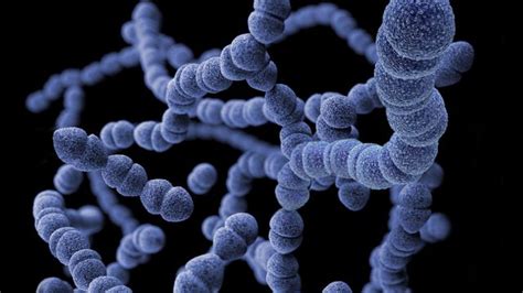 Why Are Some People More Severely Affected By Invasive Infections