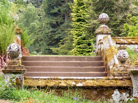Nature's Ways Free Stock Photo - Public Domain Pictures