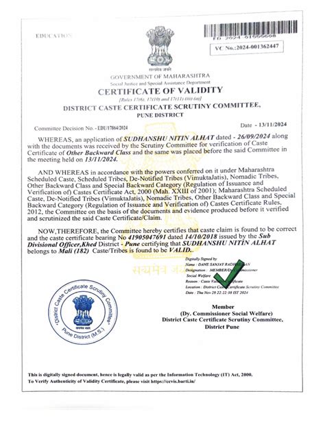 Cast Validity Pdf Pdf