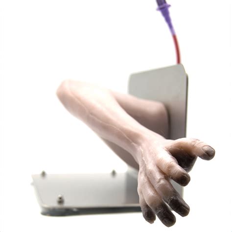 Monkey Leg Lea Anatomical Parts And Charts