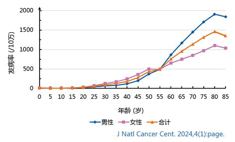 图3 中国恶性肿瘤发病率年龄分布