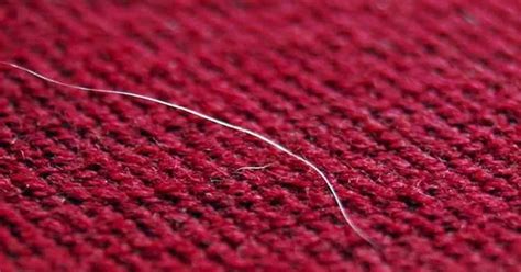 Forensic Science Series I Trace Evidence Hair And Fibers Museum Of Aviation Foundation