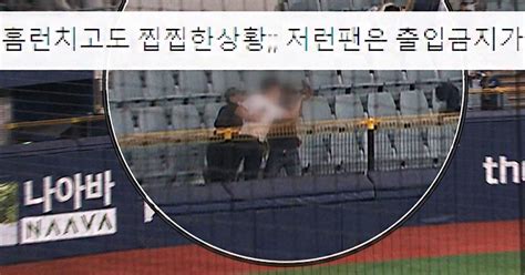 글러브 낀 관중 낚아챈 홈런볼저걸 잡아 야구팬들 분노 소셜픽