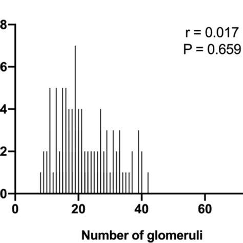 Correlation Between The Number Of Glomeruli And Number Of Fn Lesions