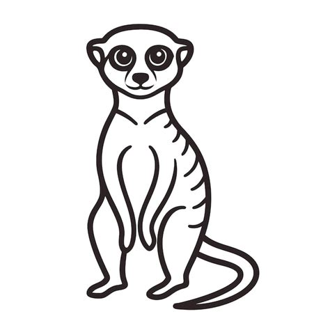 Cartoon Meerkat Outline Images Free Download On Freepik