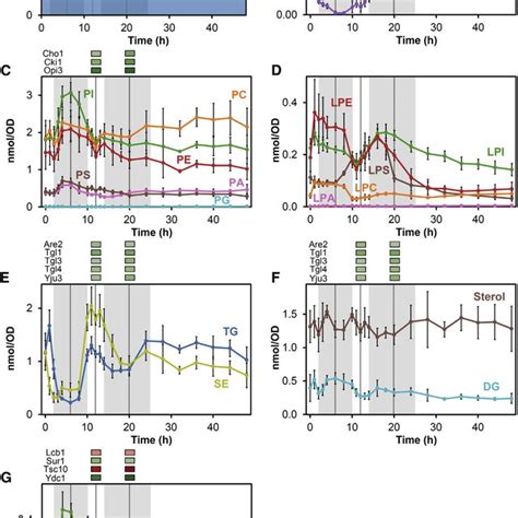 Strategy For Quantitative Proteomic And Lipidomic Analysis Along The