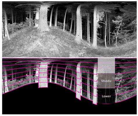Remote Sensing Free Full Text New Structural Complexity Metrics For Forests From Single