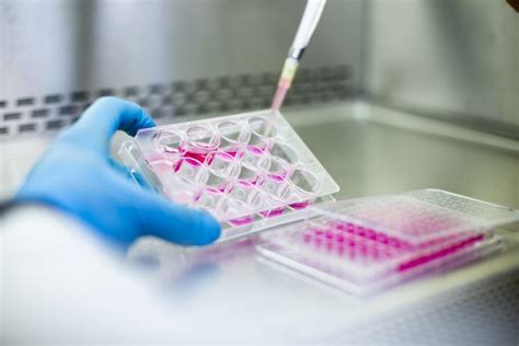 Cell Culture Metabolomics Applications Optimize Bioprocessing