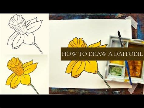 How To Draw A Daffodil Quick And Easy Beginners Drawing Tutorial Using Ellipses In Flower Drawing