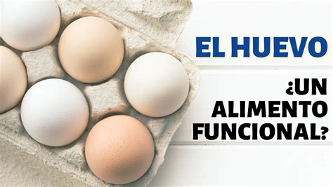 Huevo En Debate Descubriendo Su Papel Como Alimento Dañino O Funcional