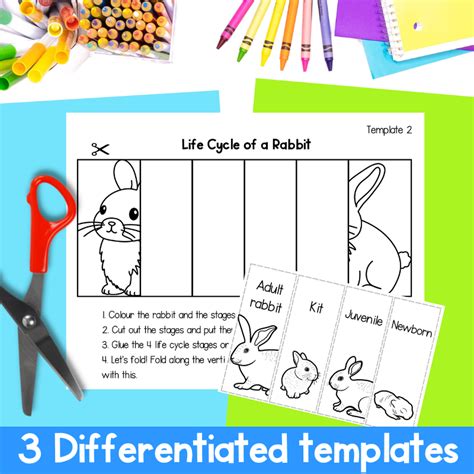 Life Cycle Of A Rabbit Foldable Sequencing Activity And Worksheets Ks1