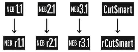 Neb Buffer System New England Biolabs France