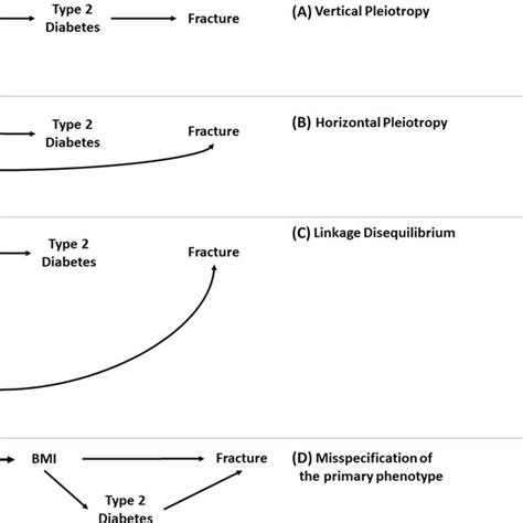 Directed Acyclic Graphs Highlighting The Difference Between