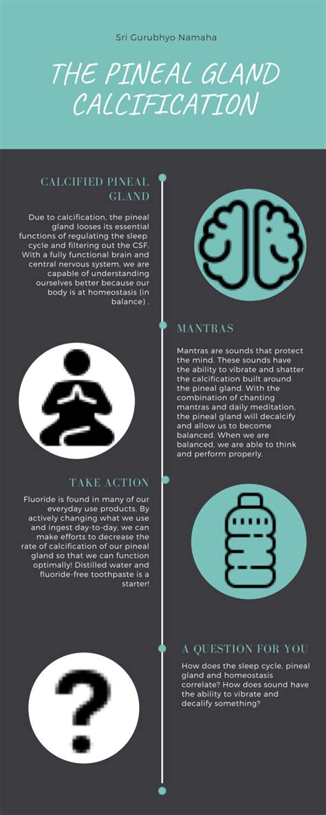 The Pineal Gland Calcification
