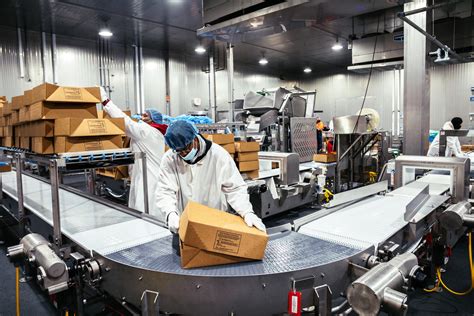 Lineage Food Processing And Manufacturing Solutions