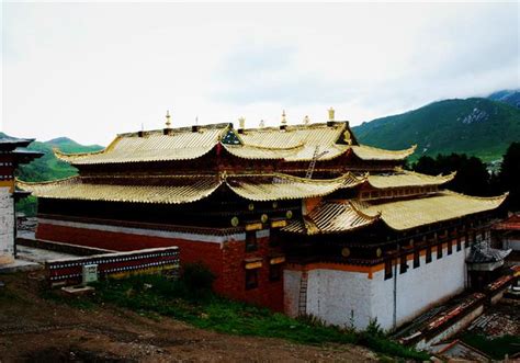 神木生態園旅遊這裏的景色很美麗是個不錯的旅遊勝地 每日頭條