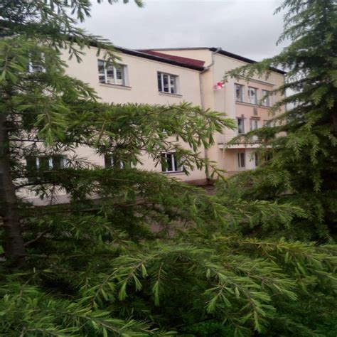 არგვეთის საჯარო სკოლა პაოლო იაშვილის სახელობის სოფელ არგვეთის საჯარო სკოლა