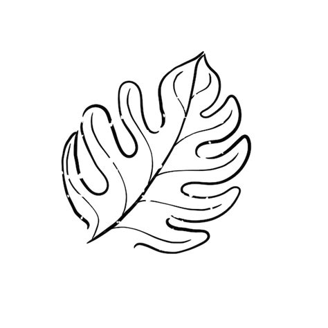 Illustrazione Della Pianta Vettore Gratis