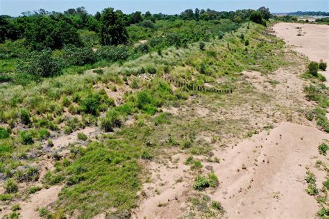 Burdekin River Pile Field Nq Dry Tropics Neilly Group For The
