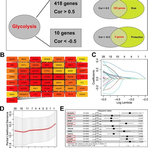 Prognosis Model Construction A Identification Of The Download