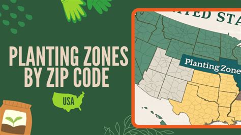 Planting Zones By Zip Code Usa 10 Advanced Tips