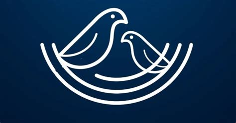 Nest Software Private Ltd India Aboutme