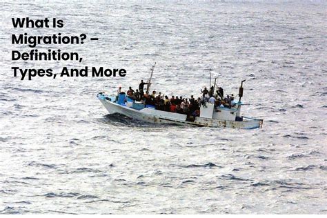 What Is Migration Definition Types And More Tmp