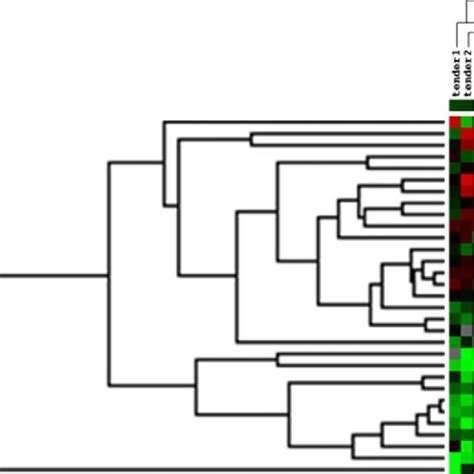 Cluster Analysis Of Microarray The Significantly Differentially Download Scientific Diagram