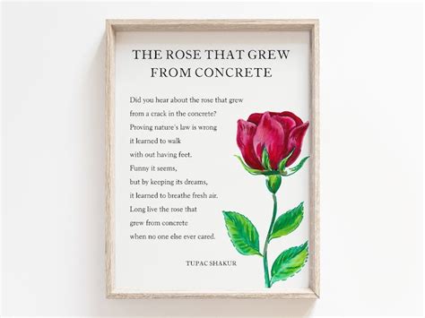 The Rose That Grew From Concrete Lyrics By Tupac Shakur Printable