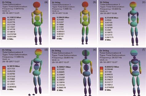 Mode Shape Of 54 Kg Human Subject At Natural Frequency A 36 Hz B